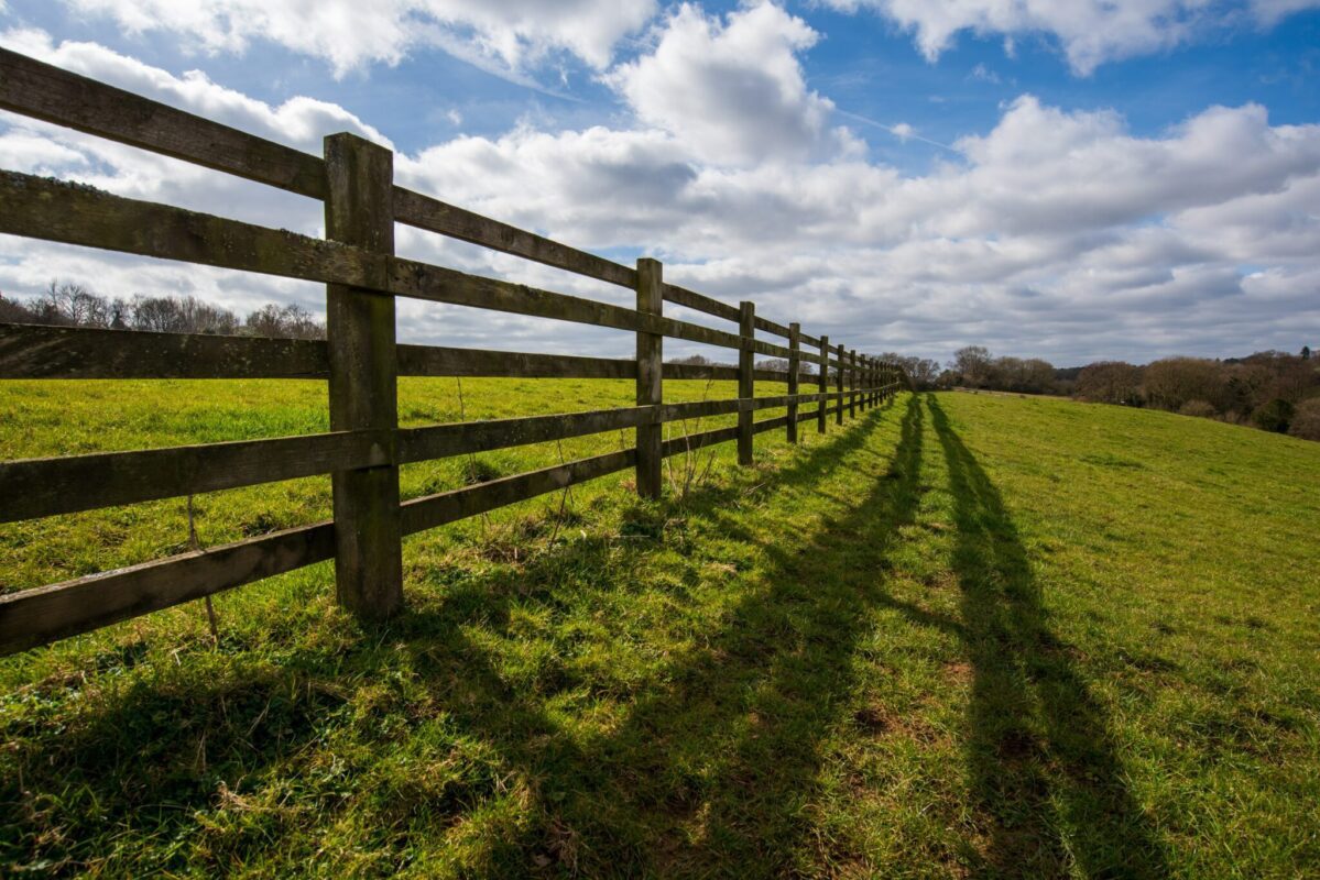 Our Guide to Post and Rail Fencing - David Musson Fencing Ltd