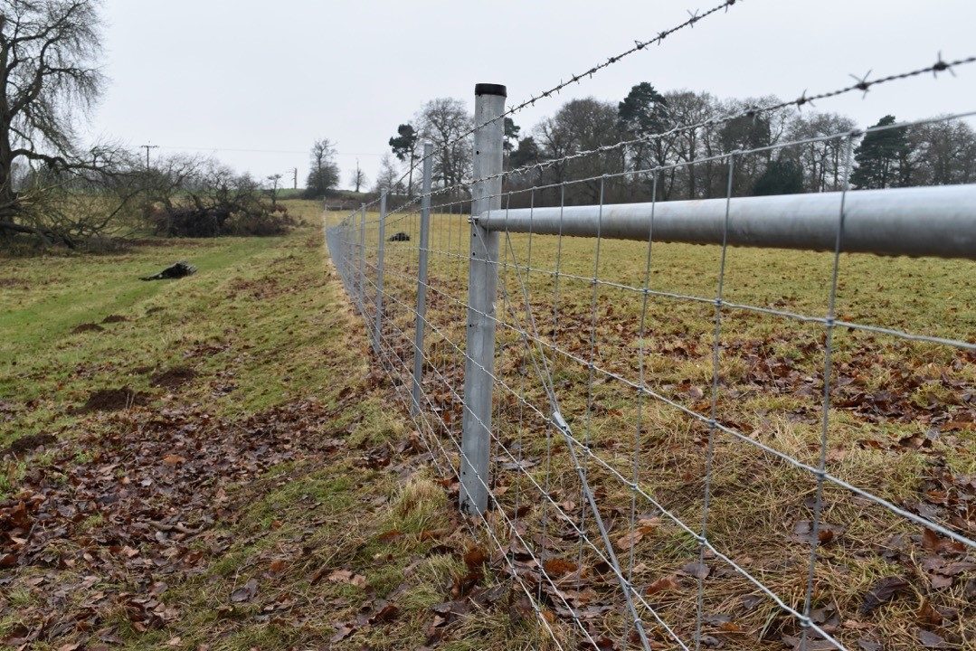 Versalok Steel Box Strainer Post - David Musson Fencing Ltd